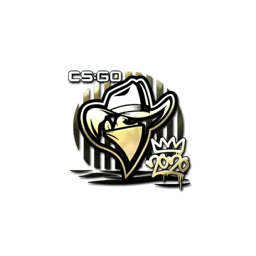 CS2 | CSGO 2020 RMR Sticker Capsule - Open on Bloodycase