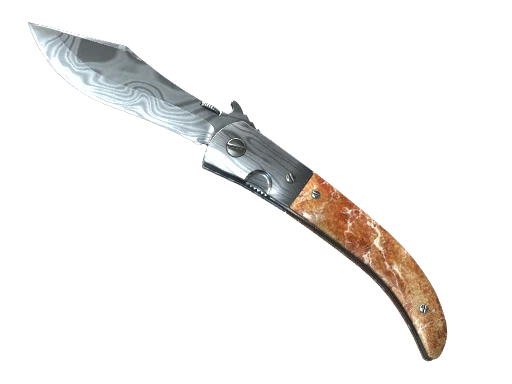 Damascus Steel Case CS2 - ⚡️ Best Skins ⚡️ - Open On BloodyCase