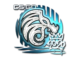 CS2 (CS:GO) 2020 RMR Sticker Capsule - ⚡️ Best Skins ⚡️ - Open On ...