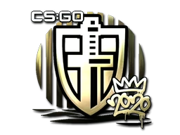 CS2 | CSGO 2020 RMR Sticker Capsule - Open on Bloodycase