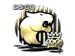 CS2 | CSGO 2020 RMR Sticker Capsule - Open on Bloodycase