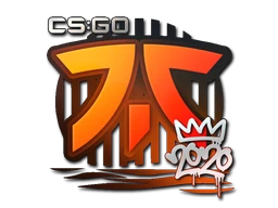 CS2 | CSGO 2020 RMR Sticker Capsule - Open on Bloodycase