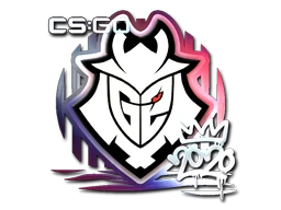 CS2 | CSGO 2020 RMR Sticker Capsule - Open on Bloodycase