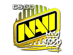 CS2 | CSGO 2020 RMR Sticker Capsule - Open on Bloodycase