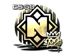 CS2 | CSGO 2020 RMR Sticker Capsule - Open on Bloodycase