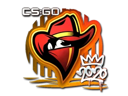 CS2 | CSGO 2020 RMR Sticker Capsule - Open on Bloodycase
