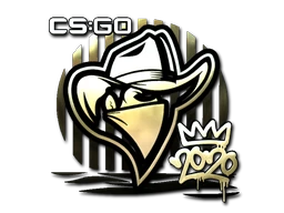 CS2 | CSGO 2020 RMR Sticker Capsule - Open on Bloodycase