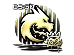 CS2 | CSGO 2020 RMR Sticker Capsule - Open on Bloodycase