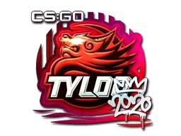 CS2 | CSGO 2020 RMR Sticker Capsule - Open on Bloodycase