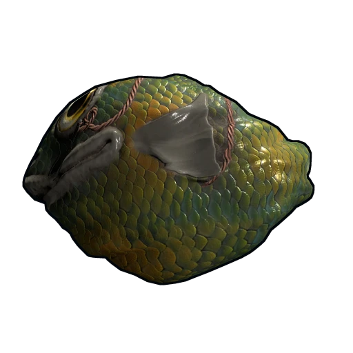 Toxic Fish - Rust Case - open on Bloodycase