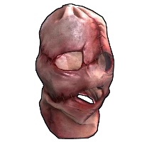 Surgeon - Rust Case - open on Bloodycase