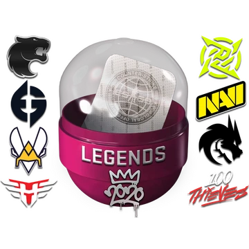 CS2 | CSGO 2020 RMR Sticker Capsule - Open on Bloodycase