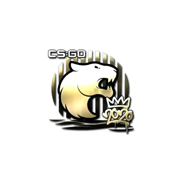 CS2 | CSGO 2020 RMR Sticker Capsule - Open on Bloodycase