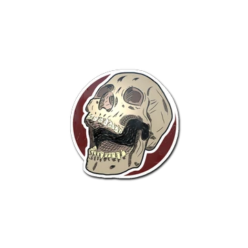 CS2 (CS:GO) Community Sticker Capsule 1 - ⚡️ Best Skins ⚡️ - Open On ...