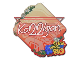CS2 | CSGO Rio 2022 Sticker Capsule - Open on Bloodycase