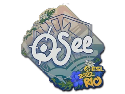 CS2 | CSGO Rio 2022 Sticker Capsule - Open on Bloodycase