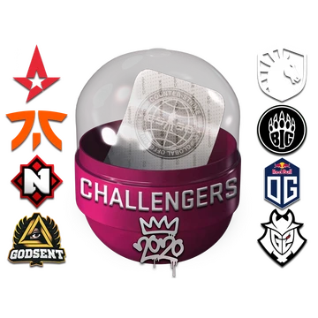 CS2 | CSGO 2020 RMR Sticker Capsule - Open on Bloodycase