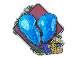 CS2 | CSGO Rio 2022 Sticker Capsule - Open on Bloodycase