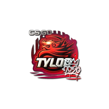 CS2 | CSGO 2020 RMR Sticker Capsule - Open on Bloodycase